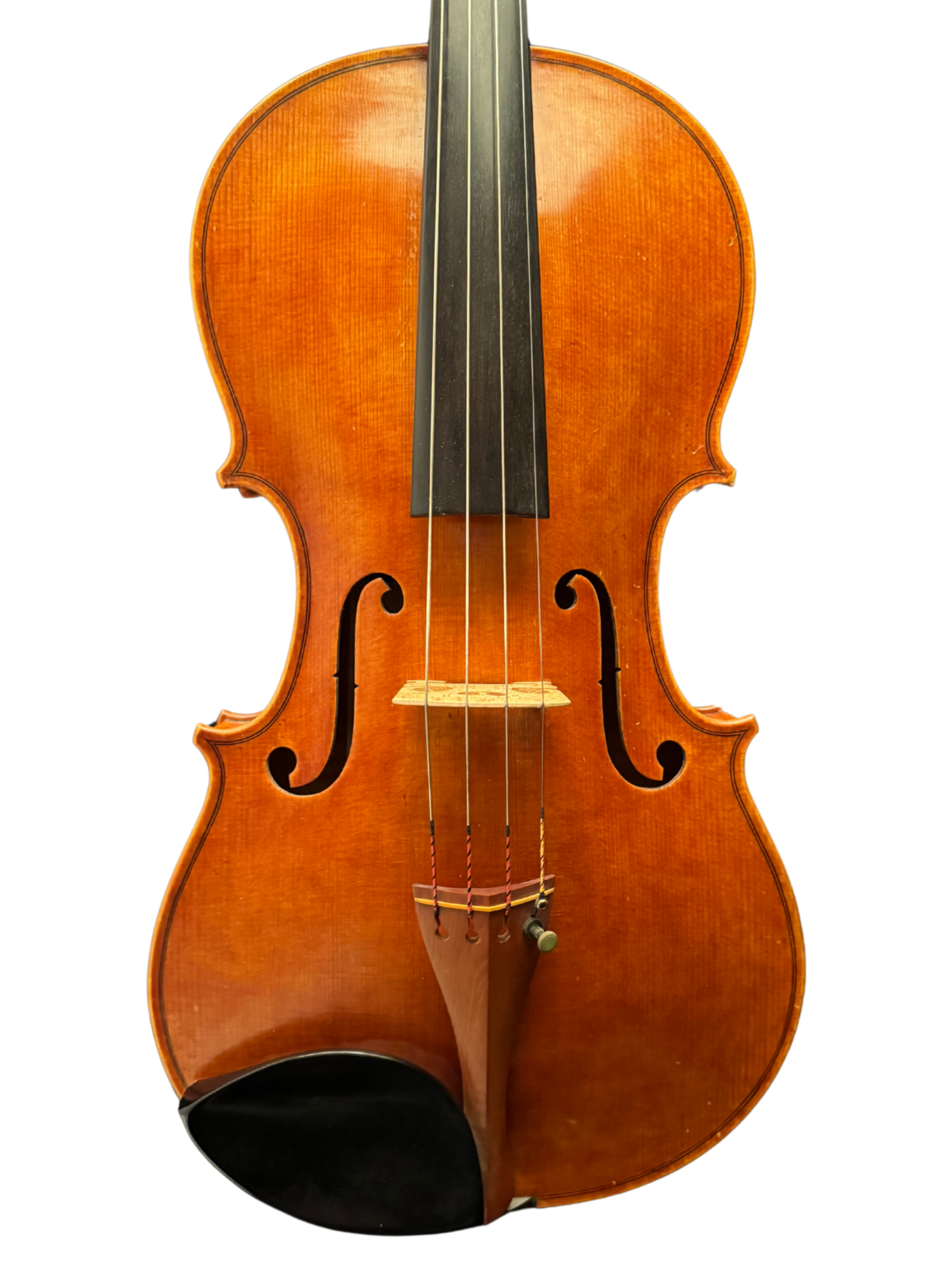 Potomac, Maryland | Potter Violins